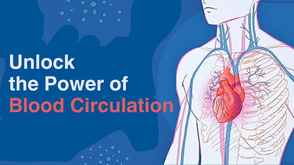 Unlocking the Power of Blood Circulation for a Better Life – Mountrax